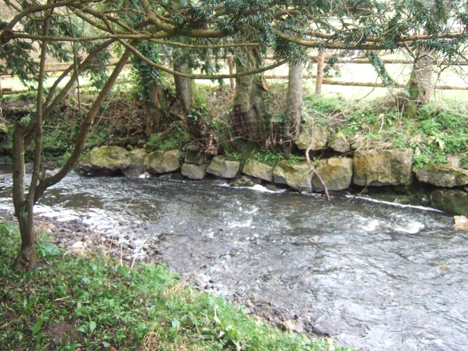 Outdoor learning resources - River animals - naturedays.co.uk