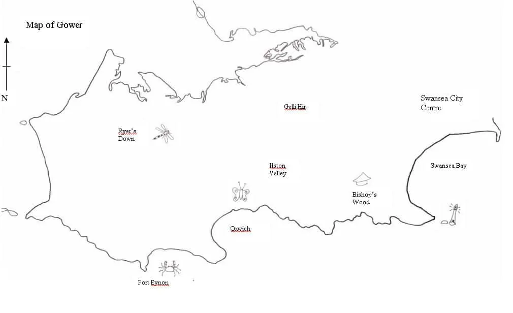 About the Gower - naturedays.co.uk