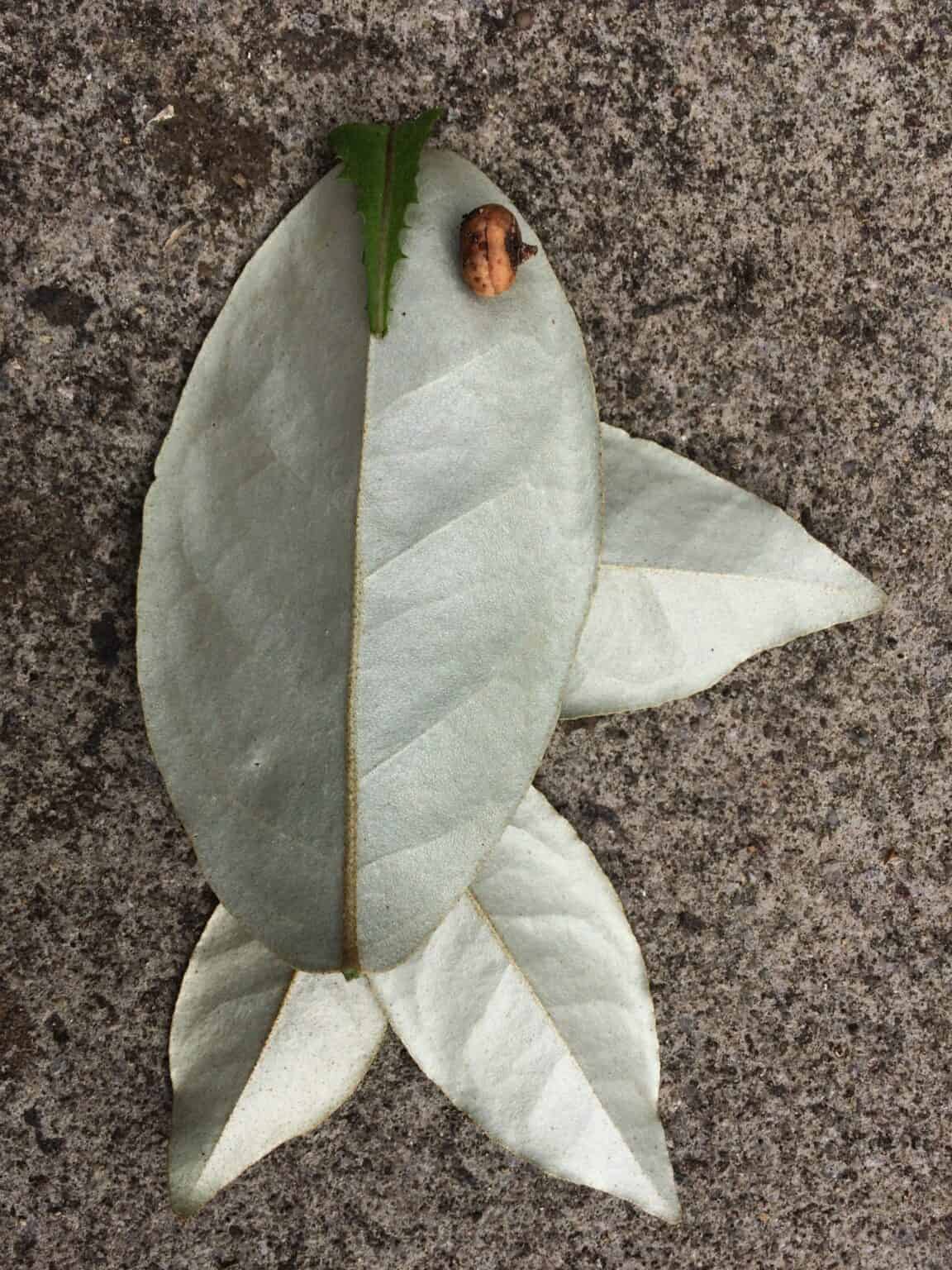 Nature Days outdoor learning resources - World oceans day scene ...