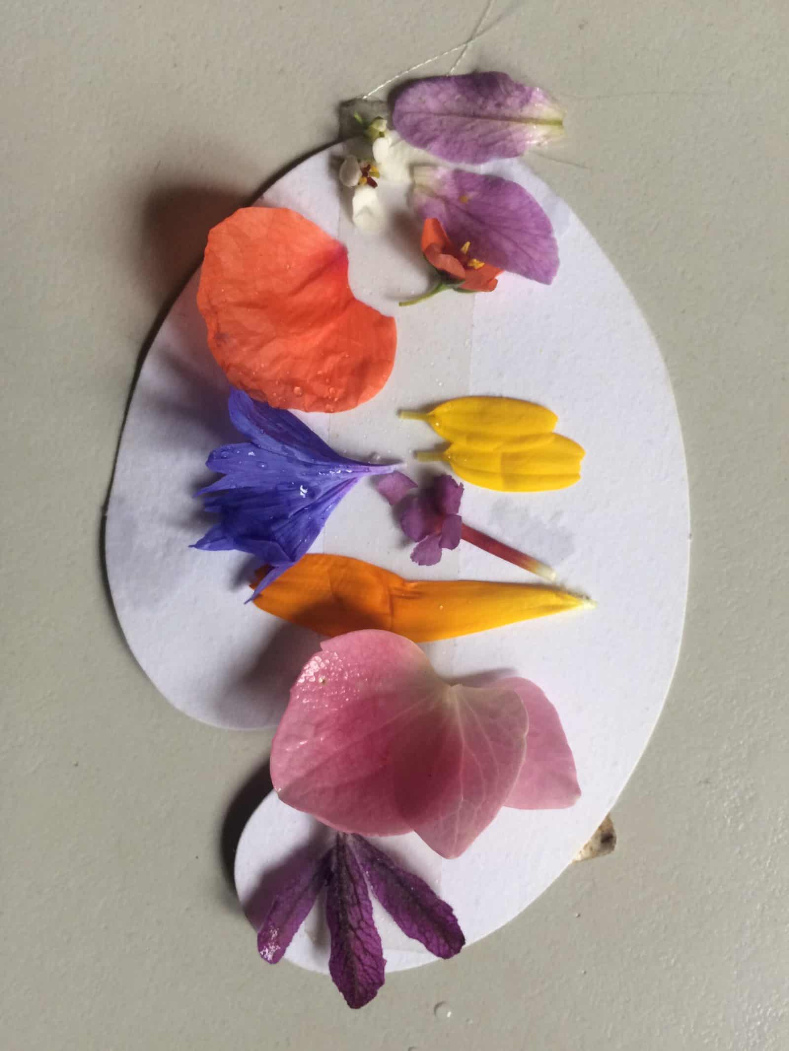 Blog - naturedays.co.uk