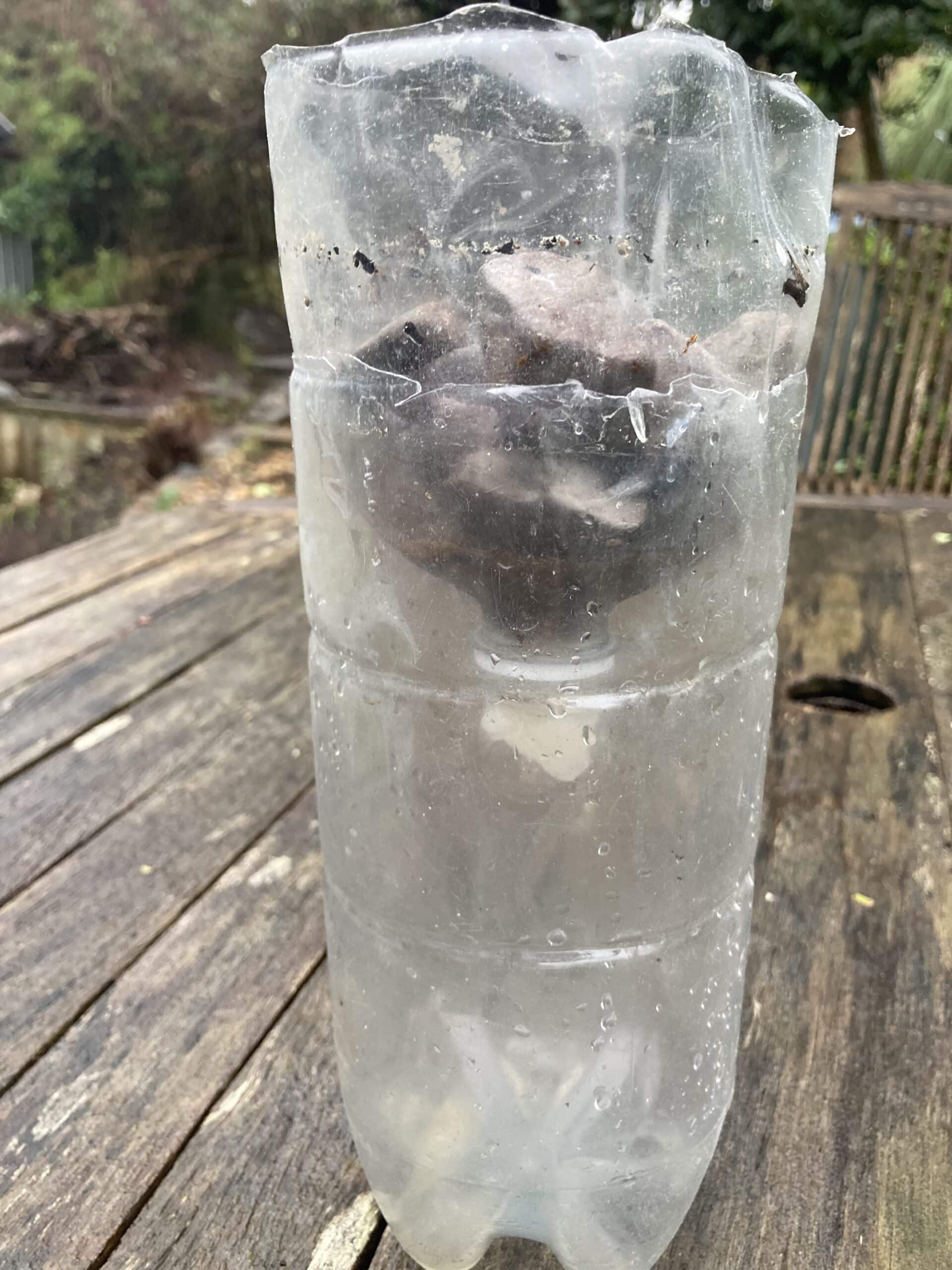 Nature Days Outdoor learning resources - Make a water filter ...