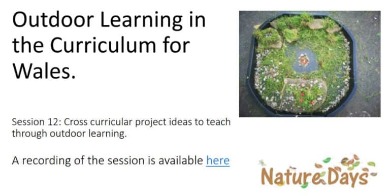 Session 12: Cross curricular project ideas to teach through outdoor ...