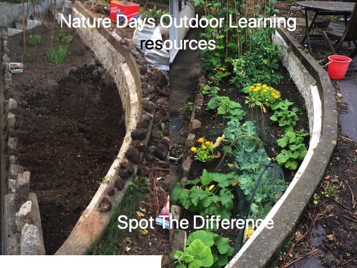 Nature Days outdoor learning resources - Spot the Difference ...